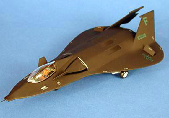 Bird of prey